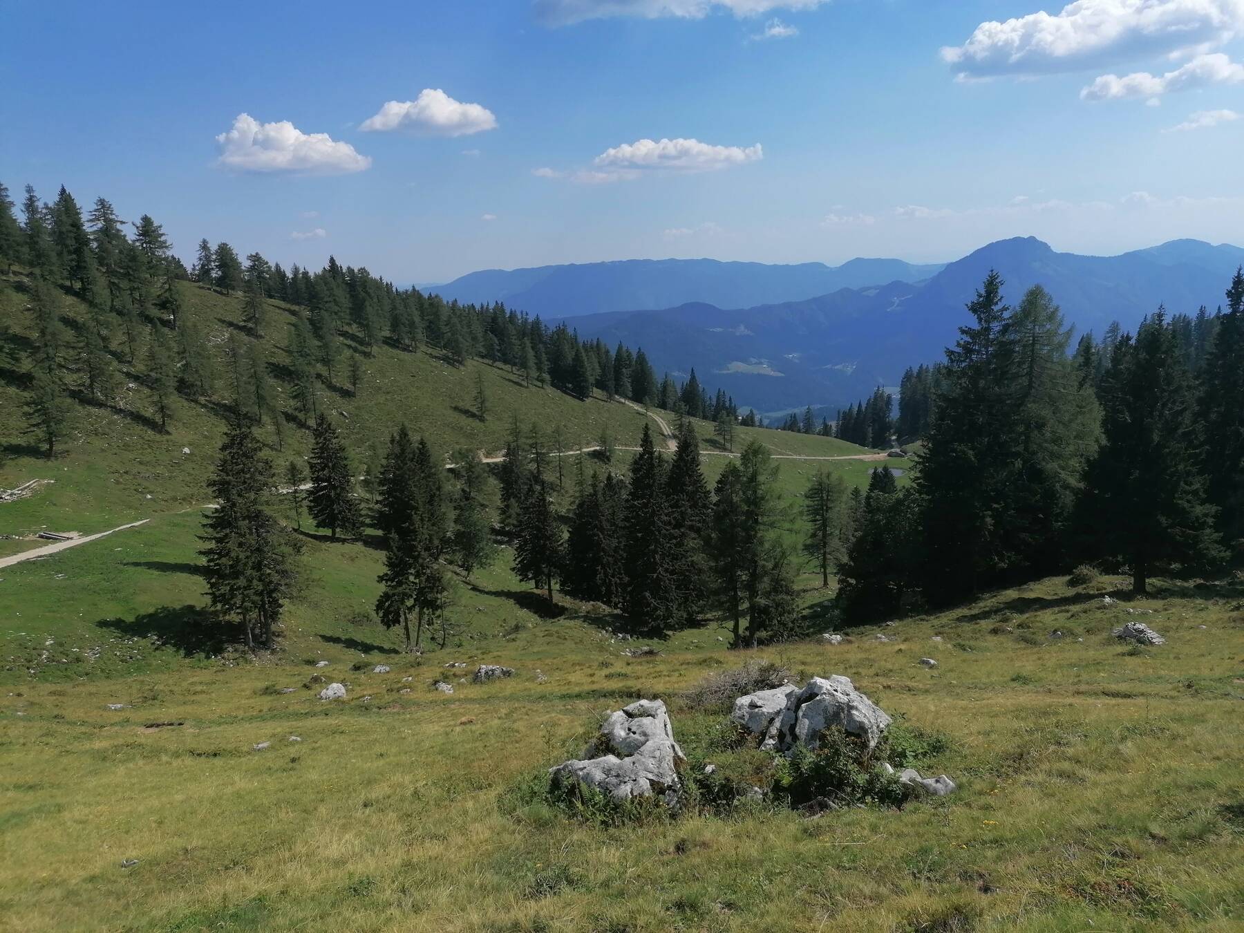 Narava ob koči na Loki pod Raduho - hikuk.com