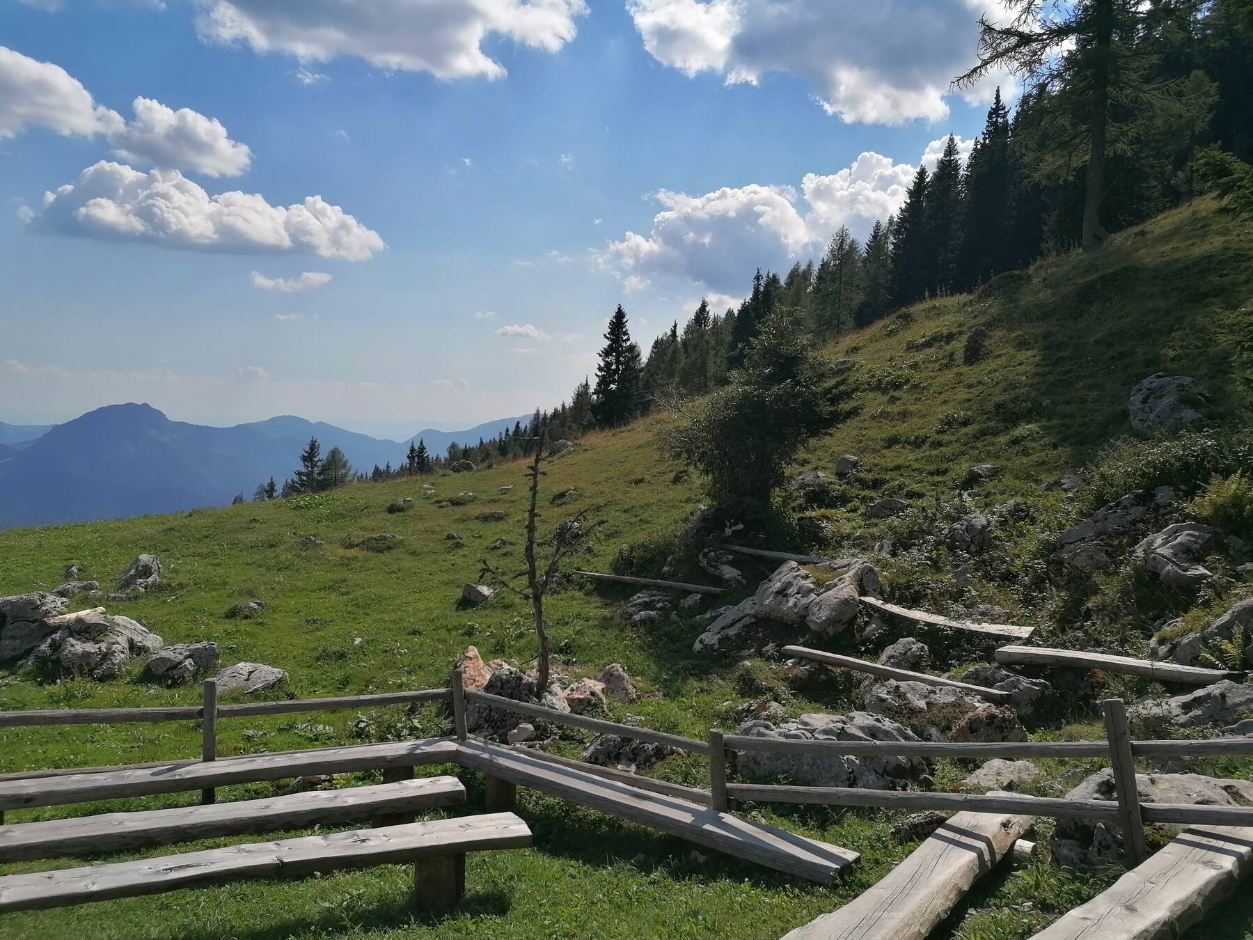 Narava ob koči na Loki pod Raduho - hikuk.com